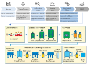 Dynamics in Biopharmaceutical CDMO – AE Research